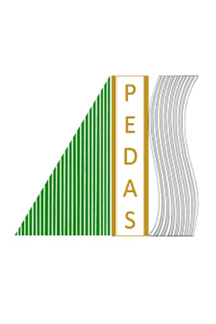 SEDC Social and Recreation Club (PEDAS) – SEDC Official Website